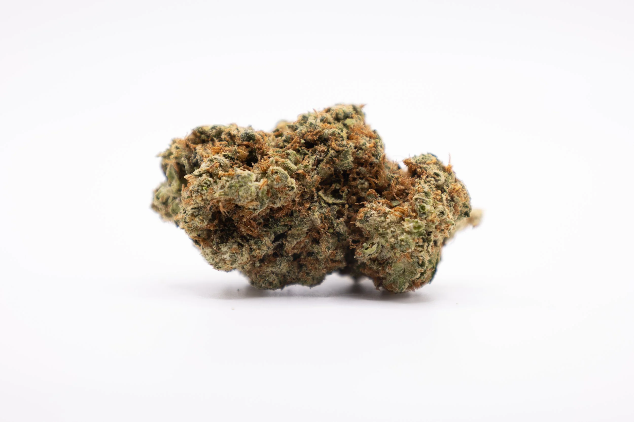 Apricot Scone | Strain Info | THCA | Near Me — H4H