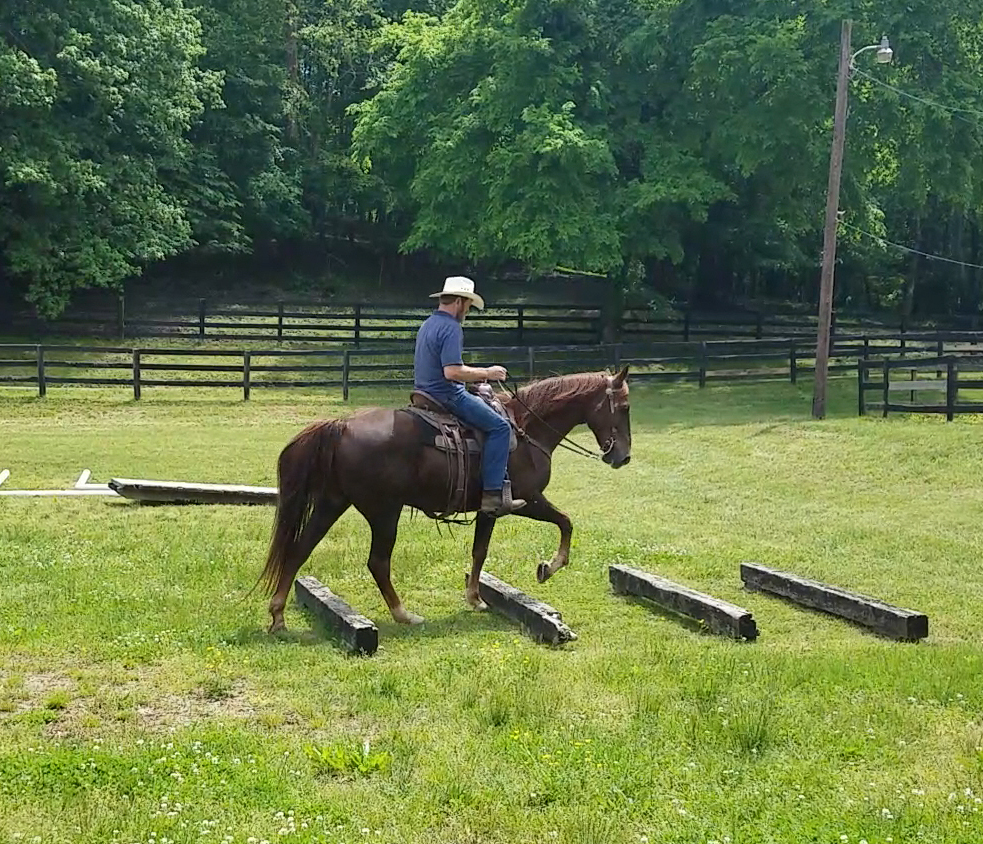 Hidalgo — Horse Of Your Dreams