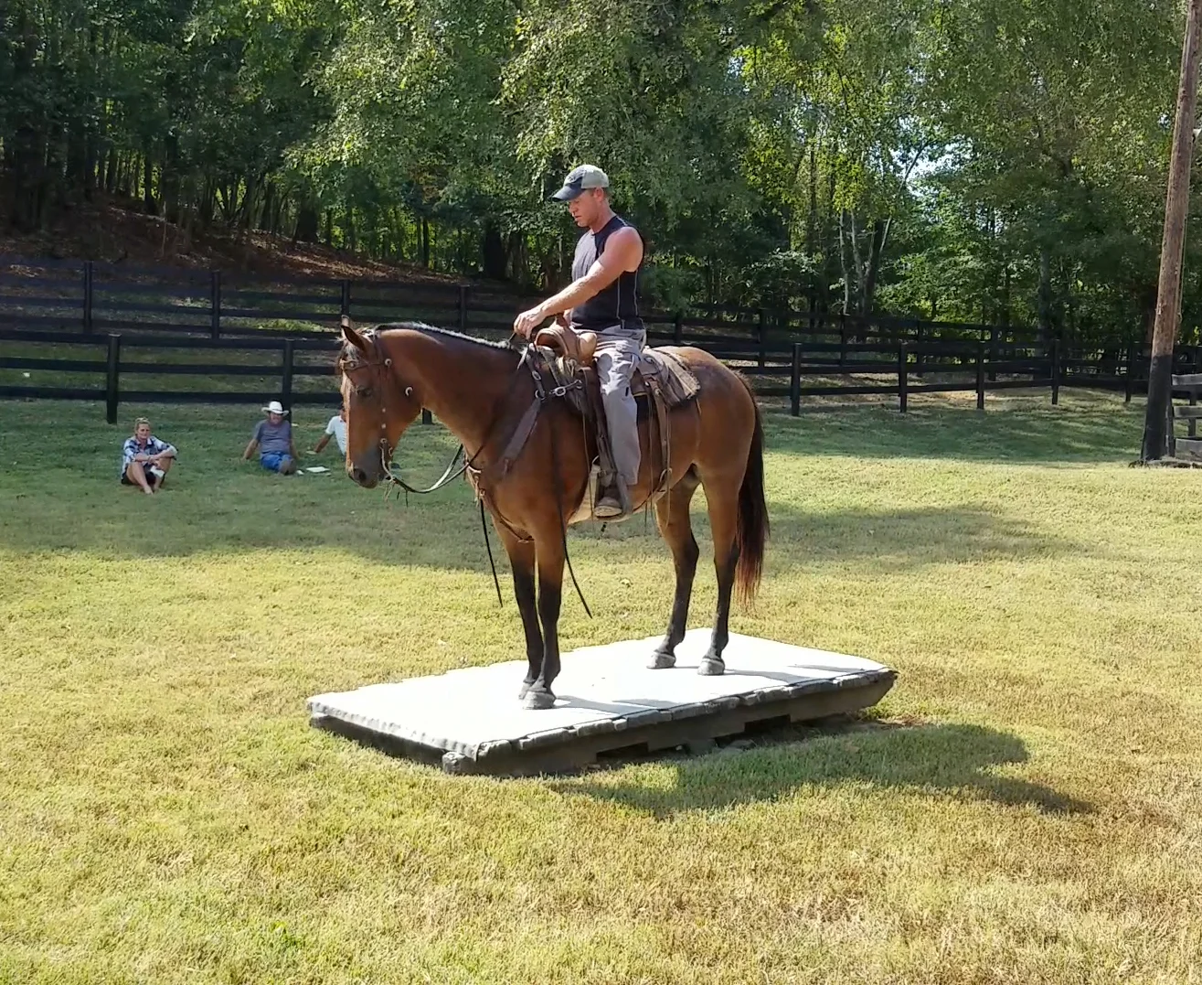 Western Trail Obstacles