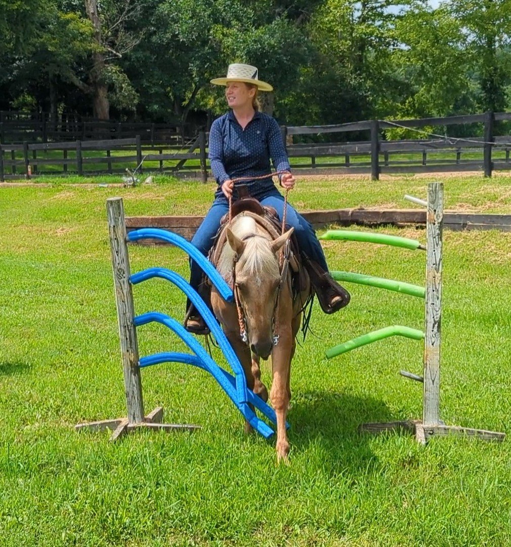 2018 Palomino AQHA Gelding. Fun trail horse. — Horse Of Your Dreams