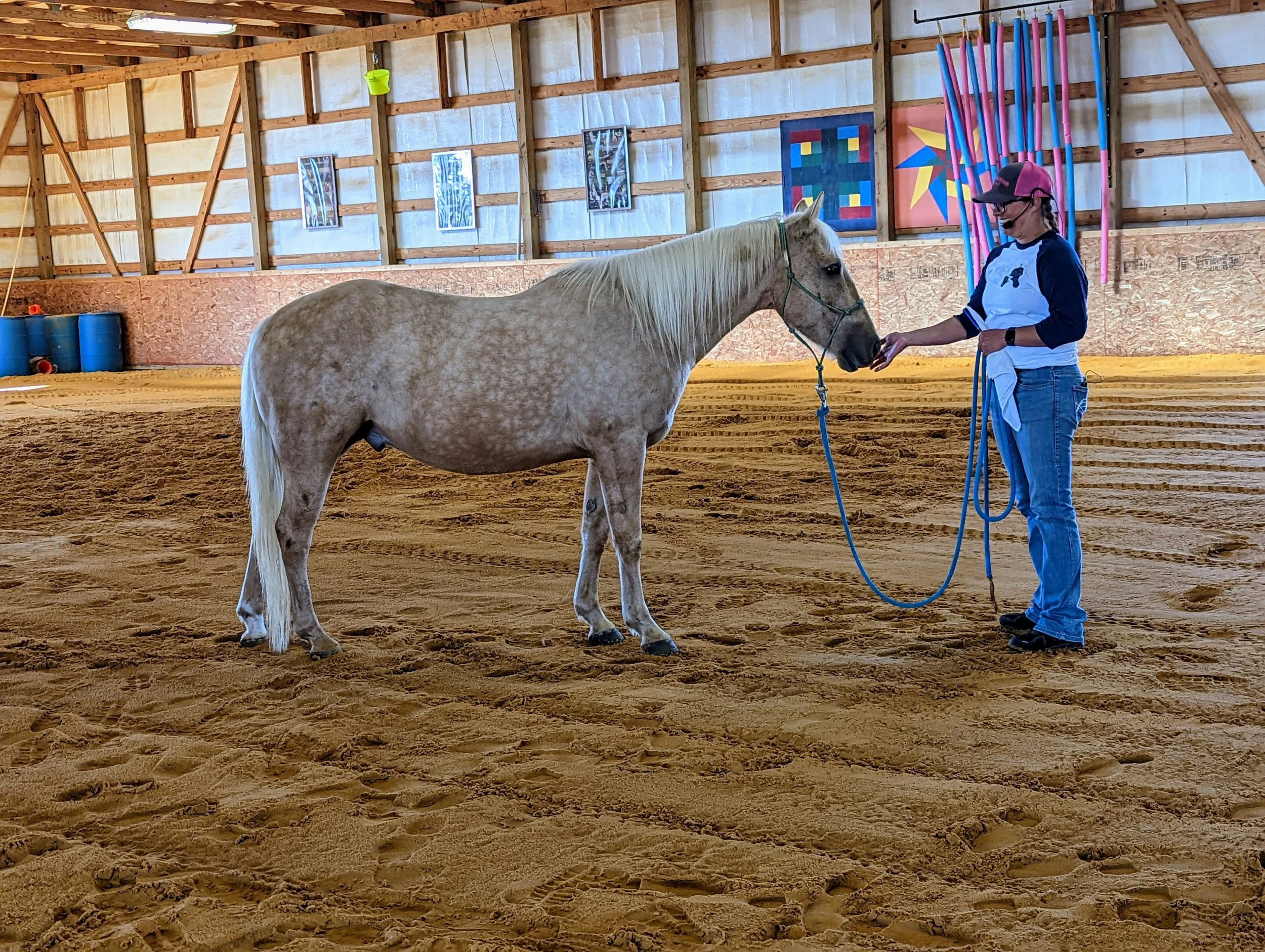 2018 Palomino AQHA Gelding. Fun trail horse. — Horse Of Your Dreams