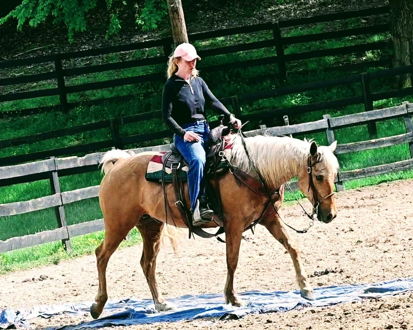 2018 Palomino AQHA Gelding. Fun trail horse. — Horse Of Your Dreams