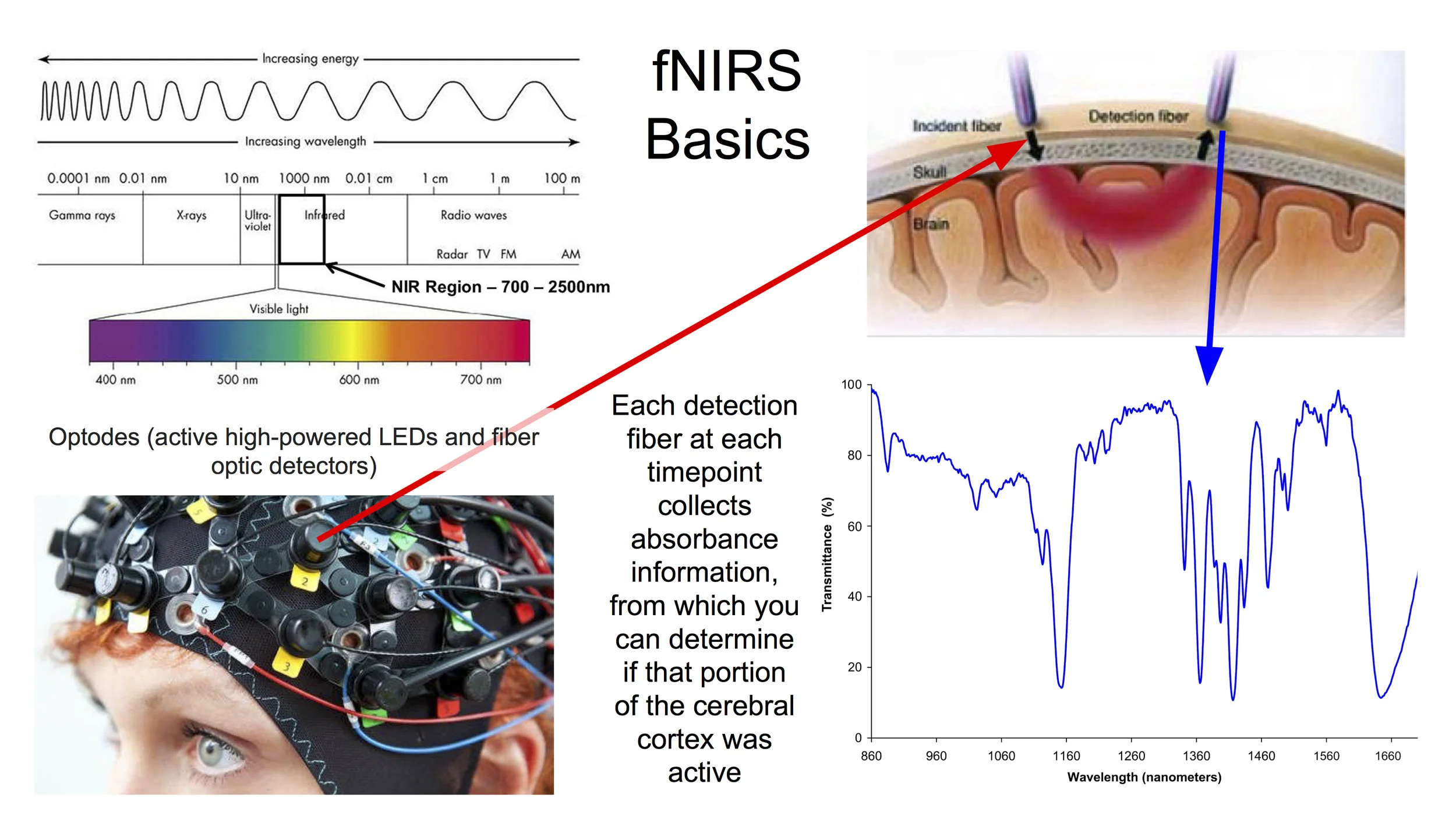 Functional Neuroimaging Techniques — Institute Of Neuro Innovation
