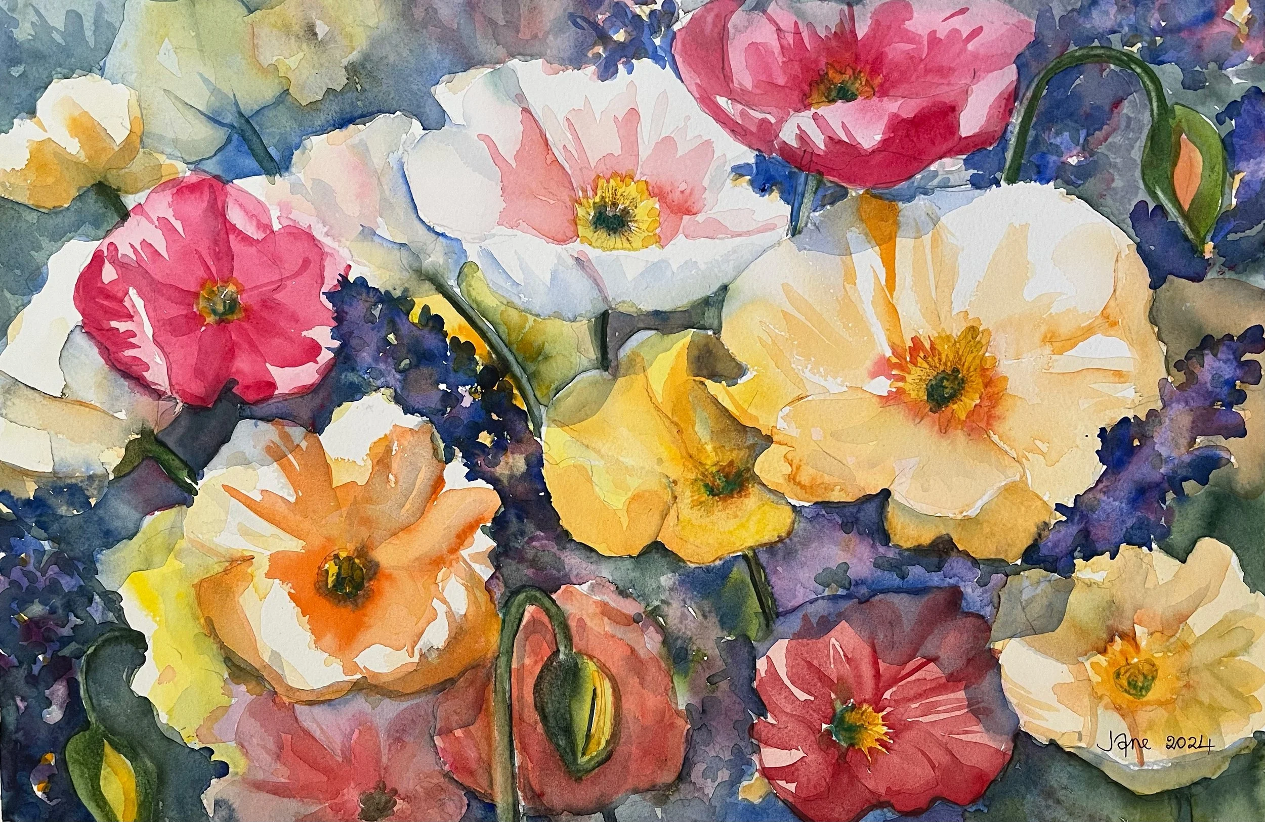 Watercolour Artist Nelson - Jane Smith - Tasman - Nelson - New Zealand
