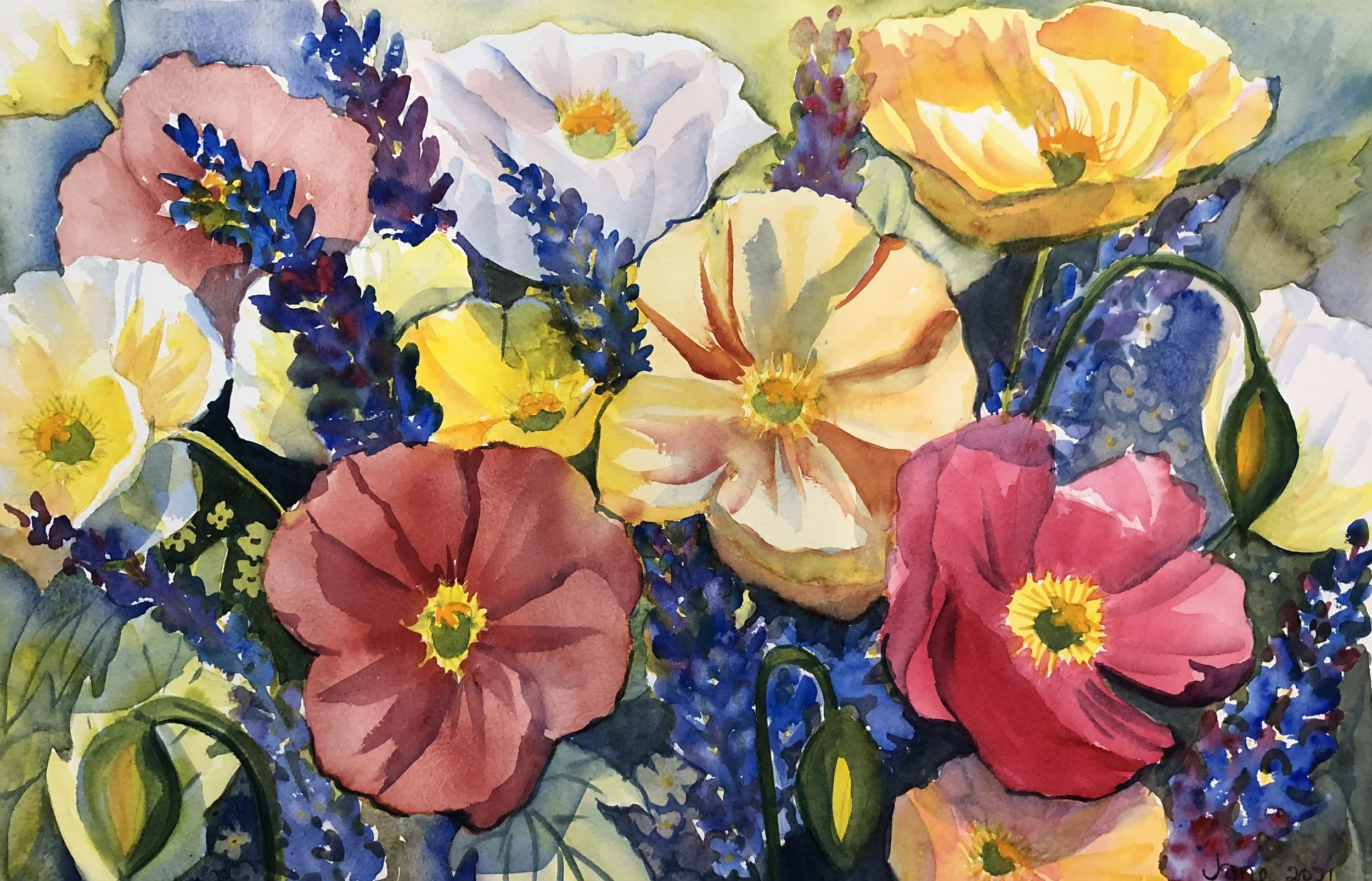 Watercolour Artist - Jane Smith - Tasman - Nelson - New Zealand