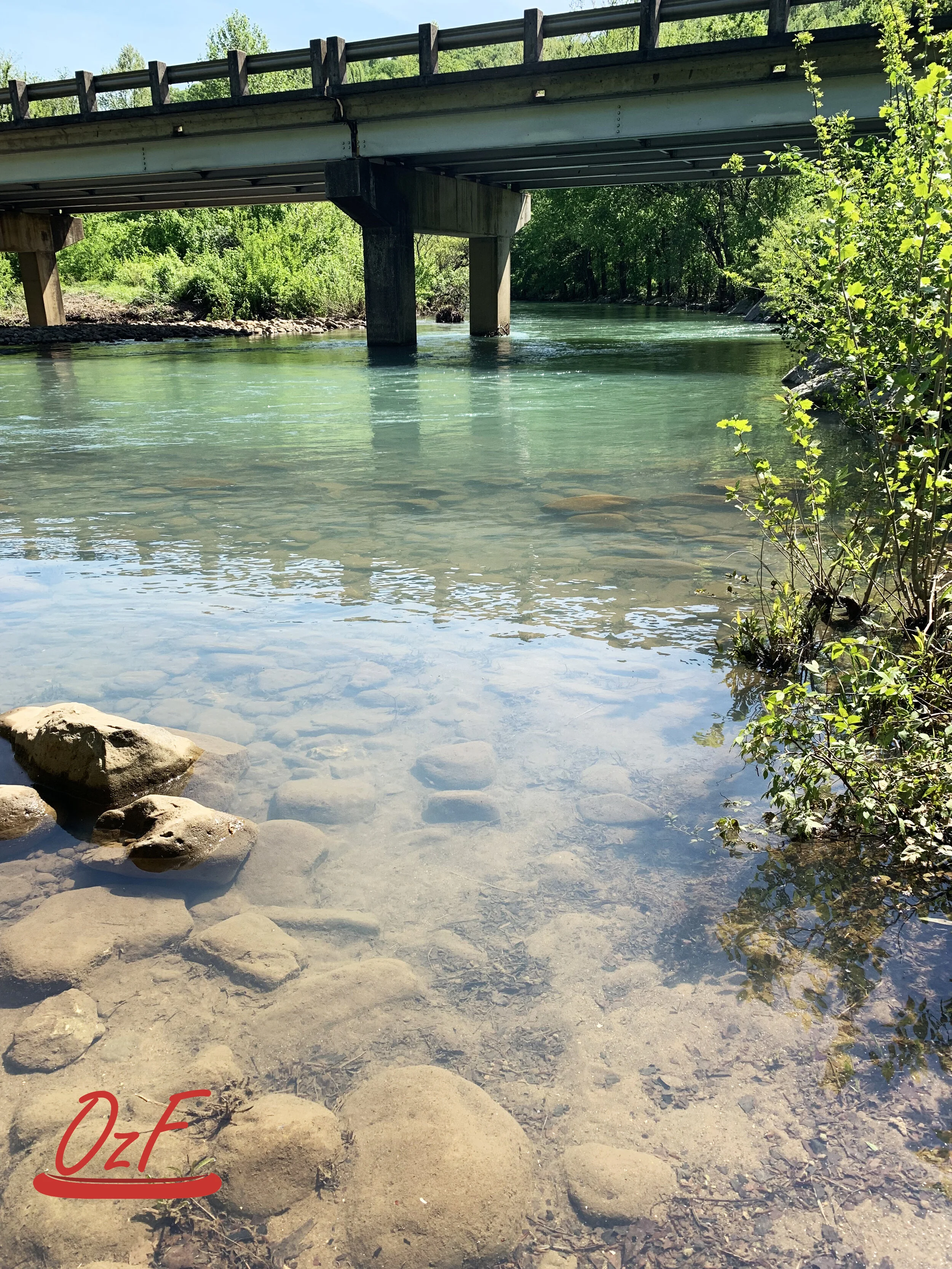 The Buffalo River — Ozark Floating