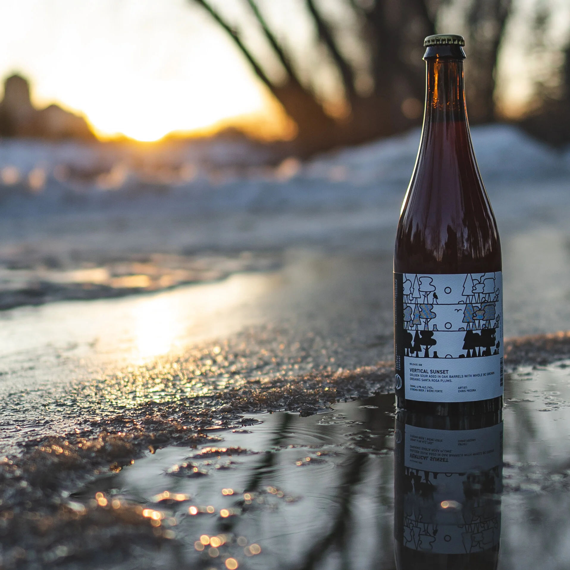 Beer — The Establishment Brewing Company