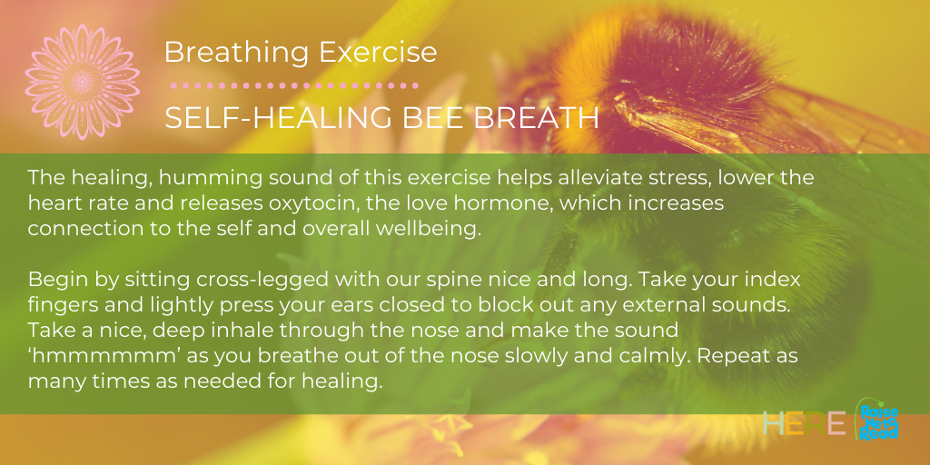 The Benefits of Nature On Our Mental Health — HERE Mindfulness