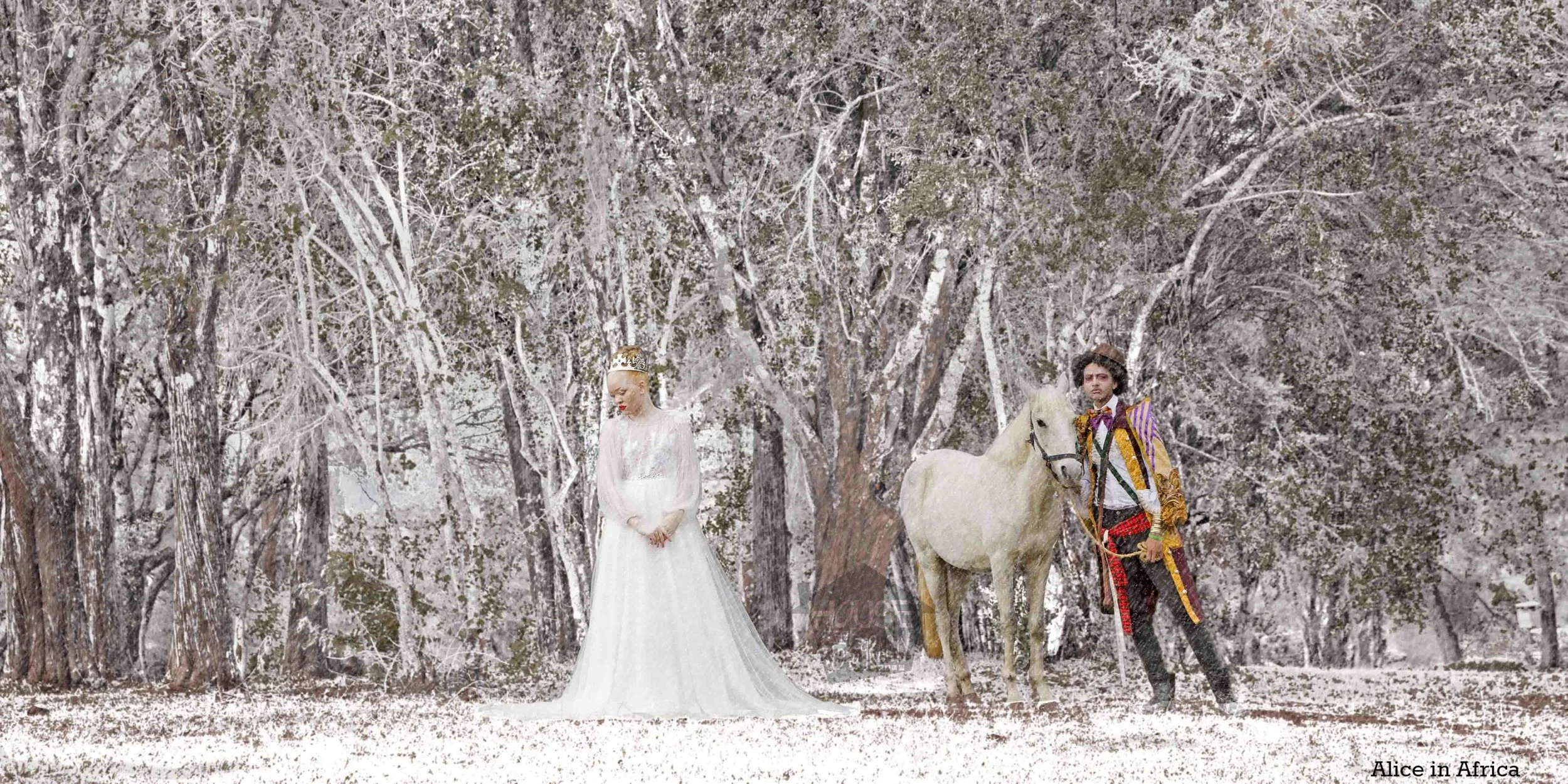 Teddy Mitchener, creative Art Photographer | TEDDY MITCHENER