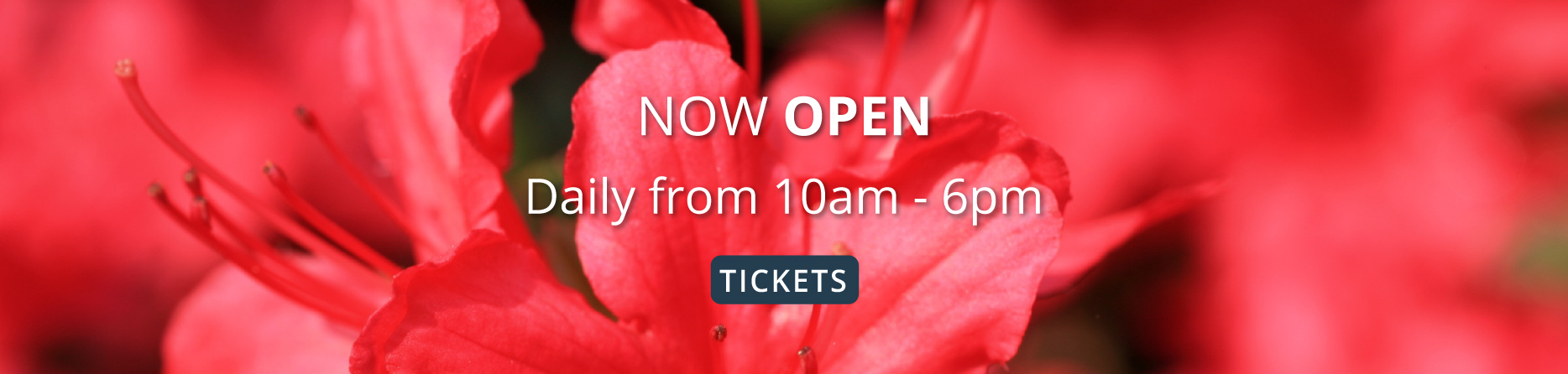 Leonardslee Lakes and Gardens