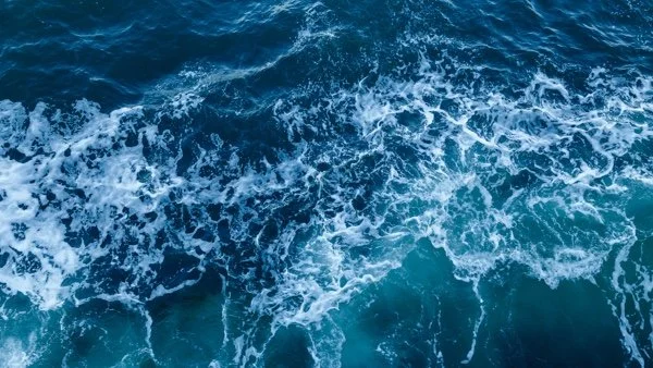 Why Can't Humans Drink Seawater? [VIDEO] | Science Explanations for Kids