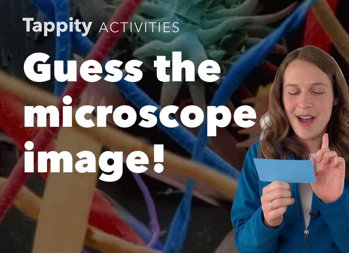Activity: Guess the Microscope Image