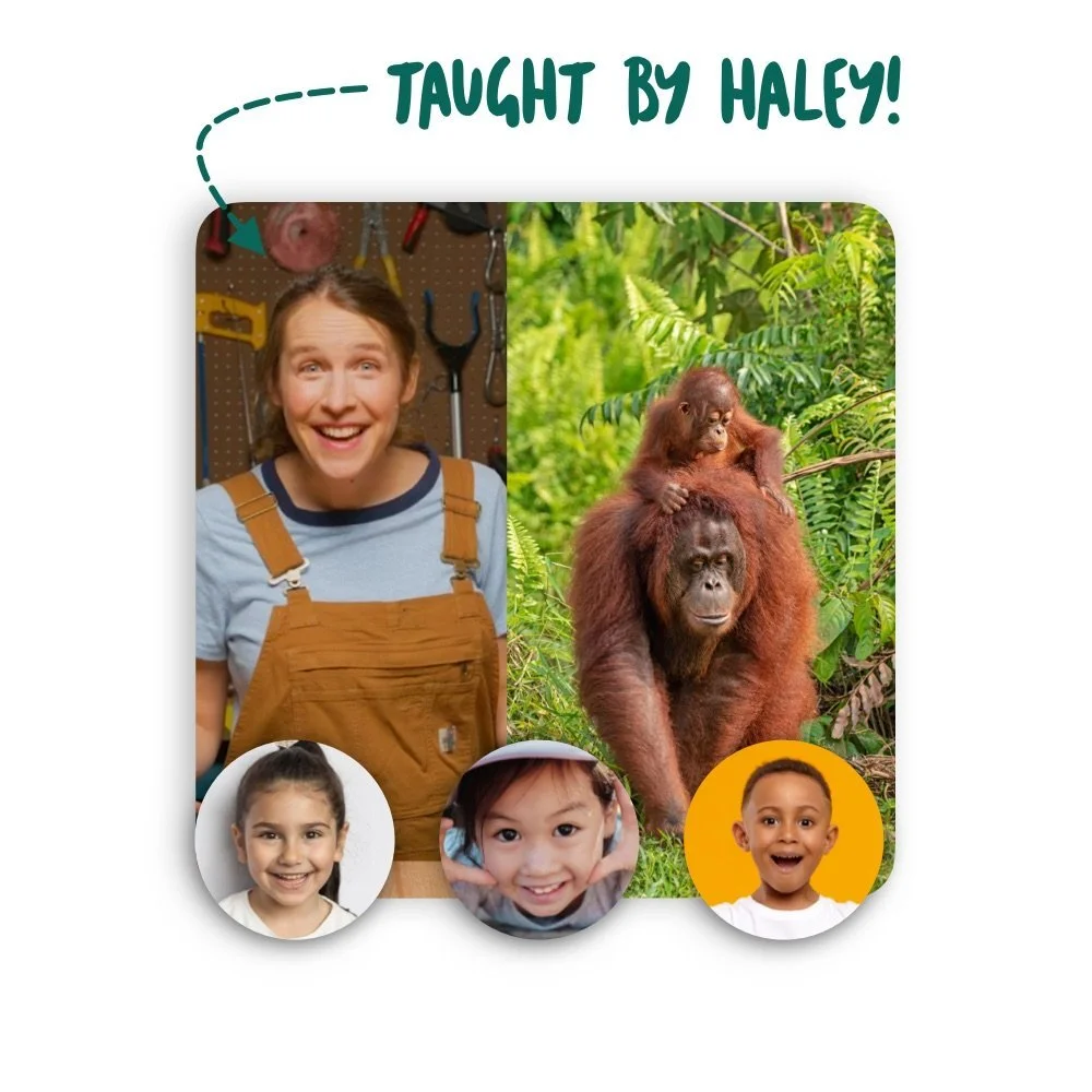 100's of Interactive Science Lessons for Kids [VIDEO] | Tappity