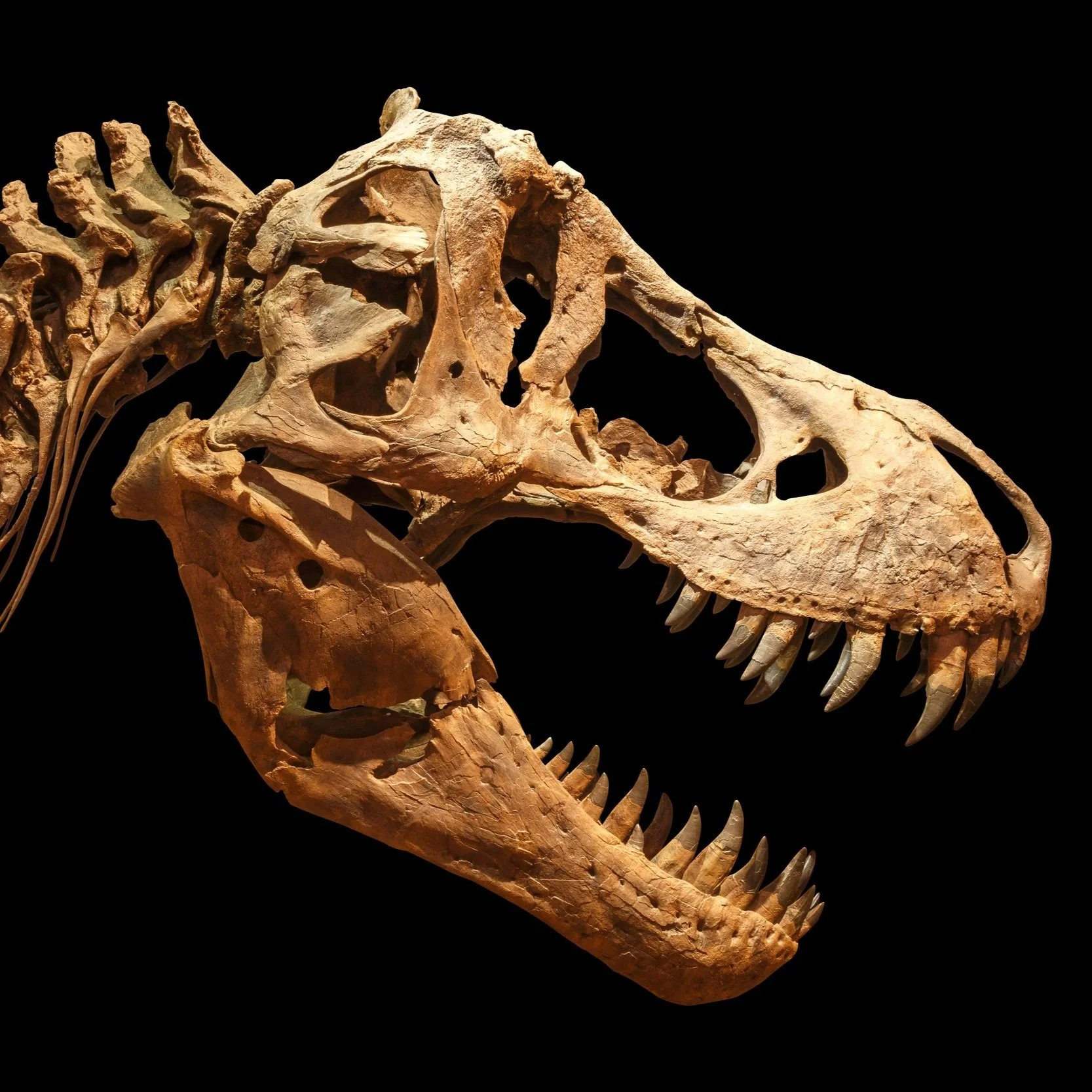 100's of Interactive Science Lessons for Kids [VIDEO] | Tappity