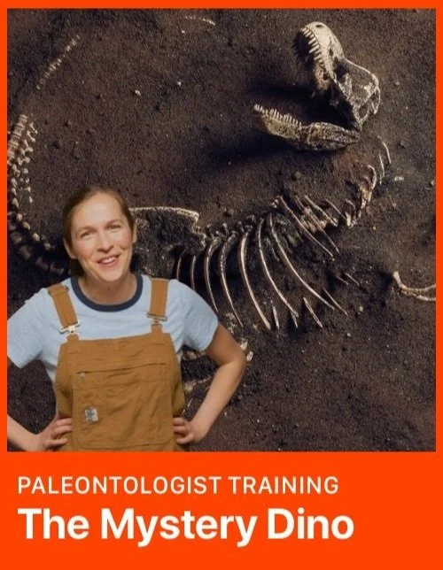 Dinosaur Facts and Videos for Kids | Tappity
