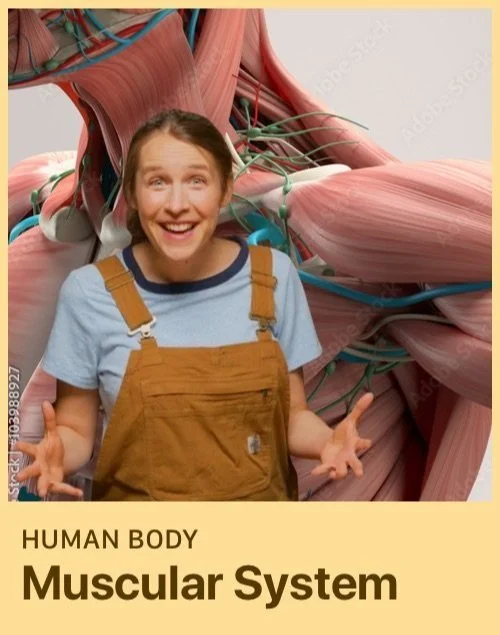 13 Best Human Body Facts, Videos, & Trivia for Kids | Tappity