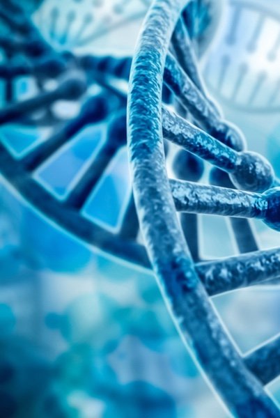 What is DNA? [VIDEO] | Science Explanations for Kids