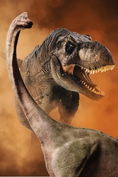 Would a T-Rex Win a Fight Against a Brontosaurus? [VIDEO] | Science ...