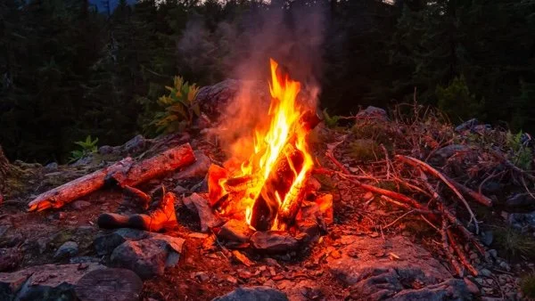 What Is Fire? [VIDEO] | Science Explanations for Kids