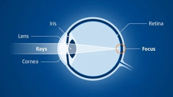 How Do Glasses Work? [VIDEO] | Science Explanations for Kids