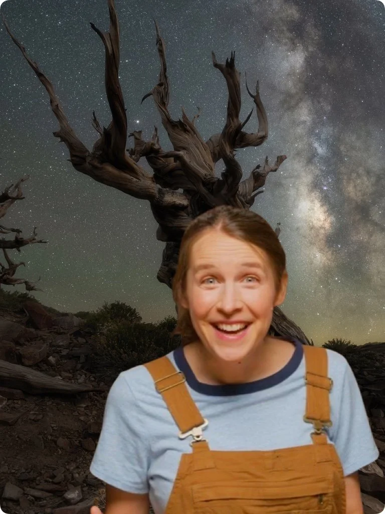 What’s the Oldest Living Thing On Earth? [VIDEO] | Science Explanations ...