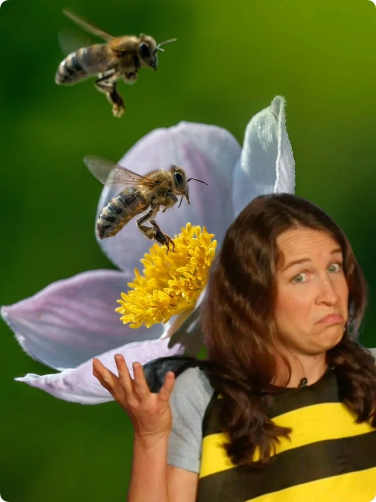 How Do Bees Find Food? [VIDEO] | Science Explanations for Kids