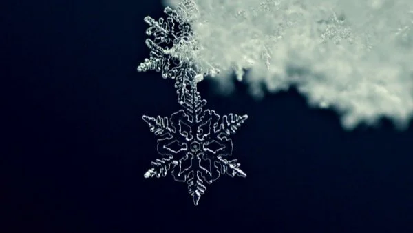 What is Snow? [VIDEO] | Science Explanations for Kids