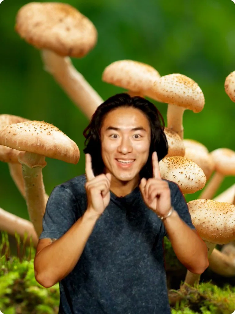 10 Best Fungi Facts Trivia Videos For Kids Tappity 10-best-fungi-facts-trivia-videos-for-kids-tappity