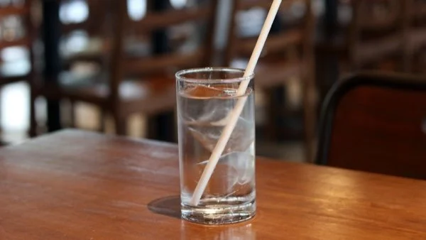 How Do Glasses Work? [VIDEO] | Science Explanations for Kids