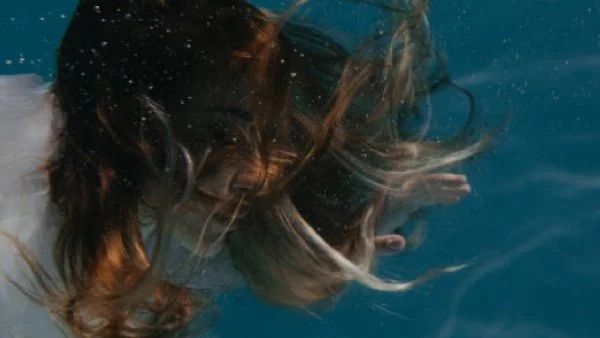 How Do Fish Breathe? [VIDEO] | Science Explanations for Kids