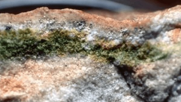 11 Best Geology Facts, Trivia, & Videos for Kids | Tappity