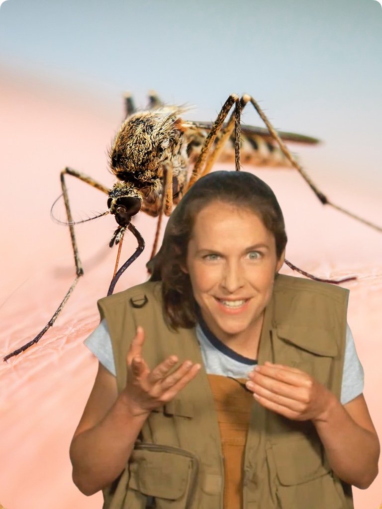 Why Do Mosquito Bites Itch? [VIDEO] | Science Explanations for Kids