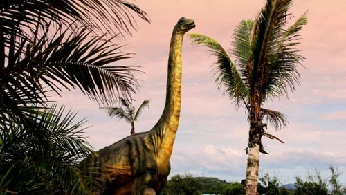 Would a T-Rex Win a Fight Against a Brontosaurus? [VIDEO] | Science ...