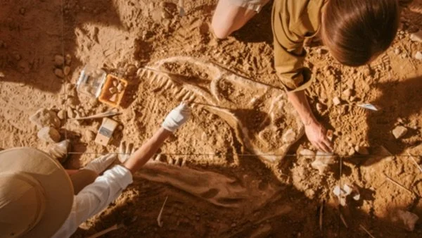 15 Best Dinosaur Facts, Trivia, & Videos for Kids | Tappity