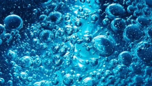 How Do Fish Breathe? [VIDEO] | Science Explanations for Kids