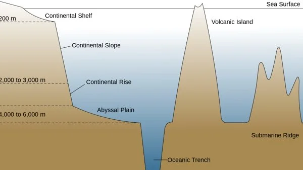 How Deep is the Ocean? [VIDEO] | Science Explanations for Kids