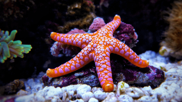 14 Best Biology Facts, Trivia, and Videos for Kids | Tappity