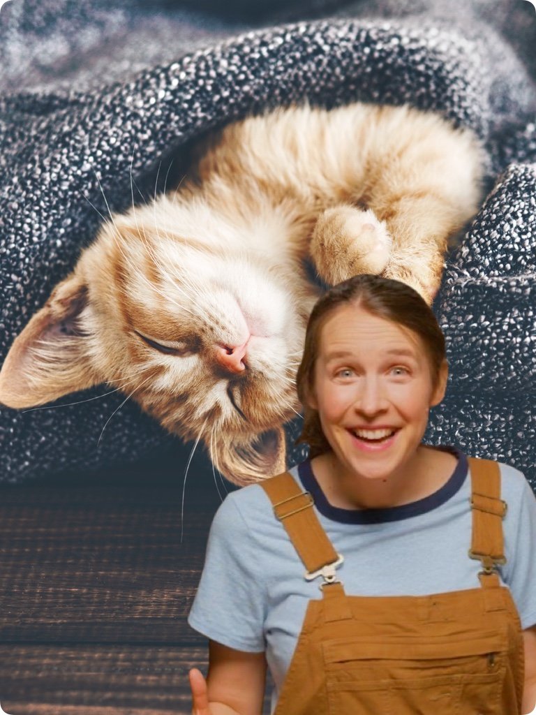 Why Do Cats Purr? [VIDEO] | Science Explanations for Kids