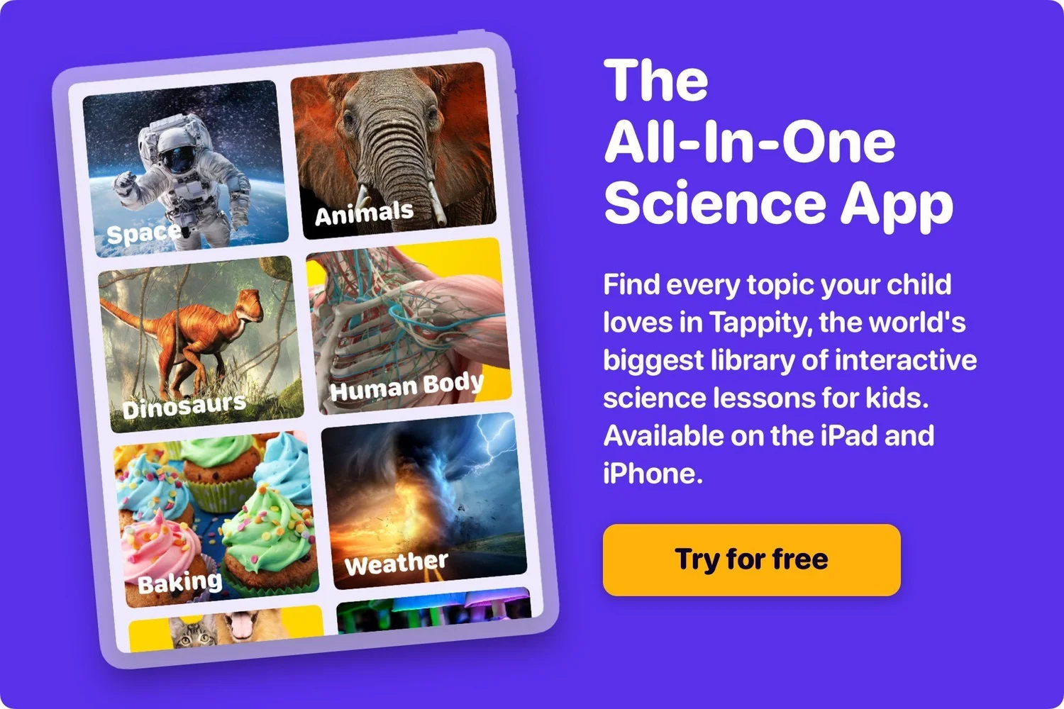 Top 11 Chemistry Facts & Trivia for Kids | Tappity