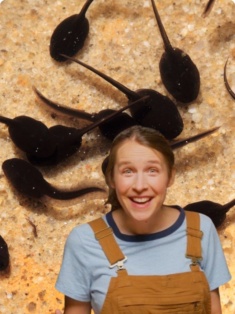 How Does a Tadpole Turn Into a Frog? [VIDEO] | Science Explanations for ...