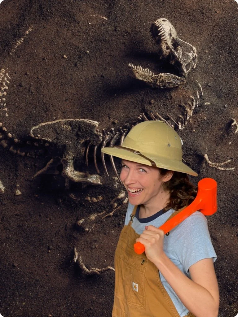 Did Any Dinosaurs Survive? [VIDEO] | Science Explanations for Kids