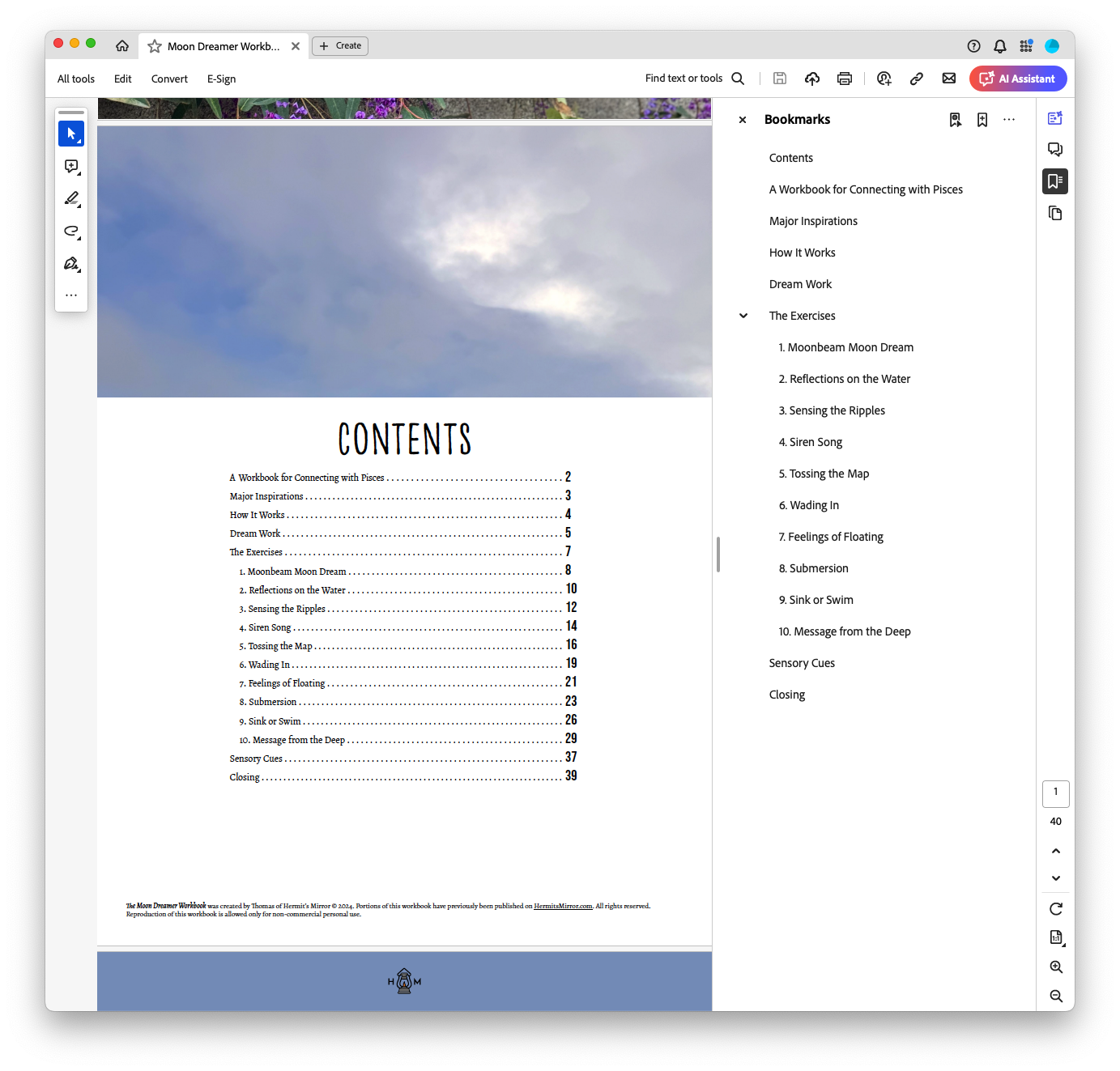 The Wave Skimmer ♋️ Workbook [PDF] — Hermit's Mirror