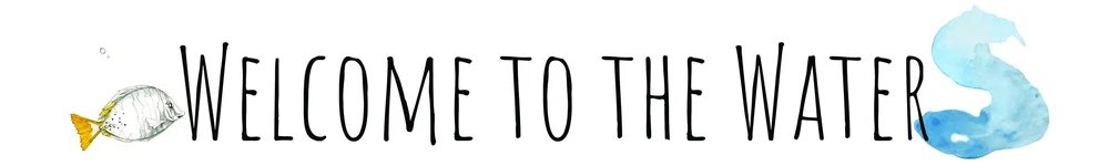 Introducing the Seaborn Kipper — Hermit's Mirror