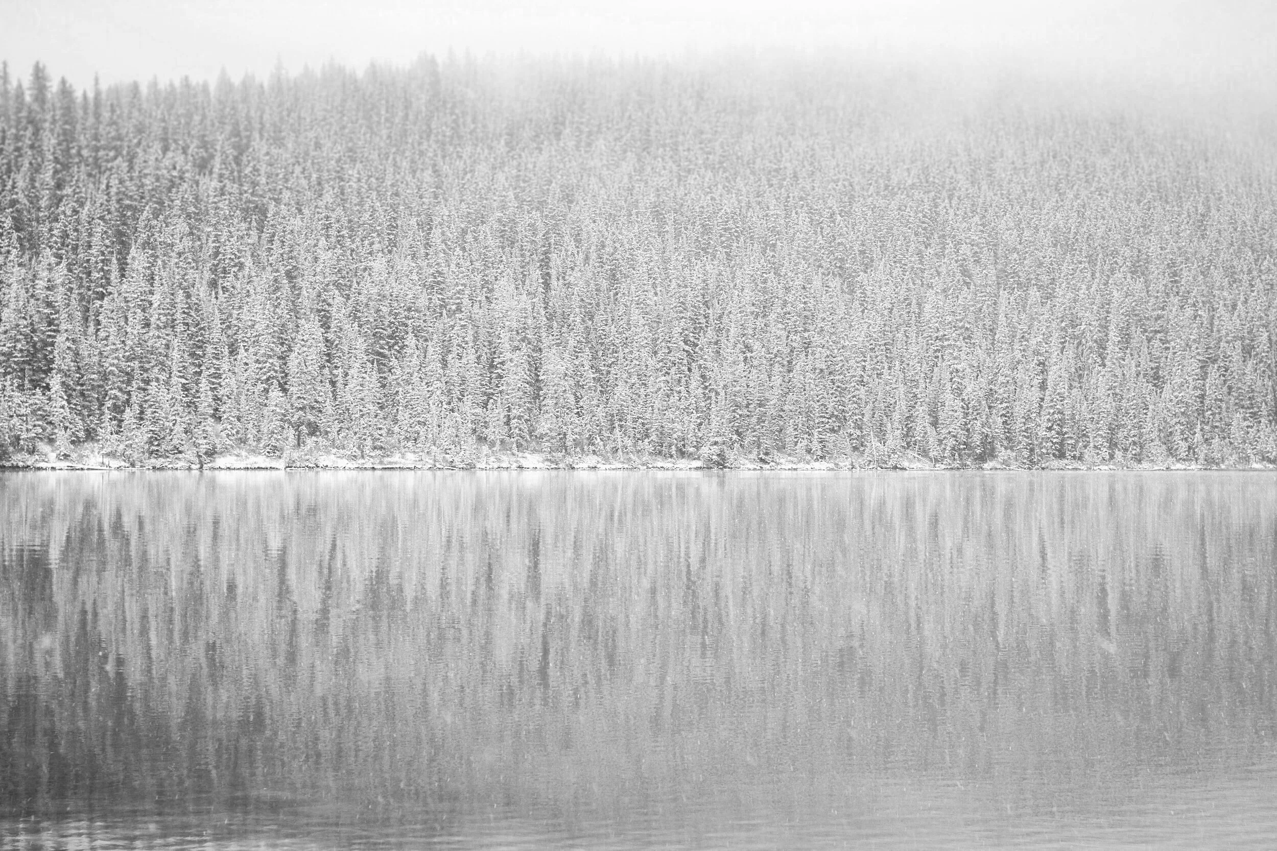 Our Philosophy - Mills Gosse Psychology: Therapists & Psychologists in ...