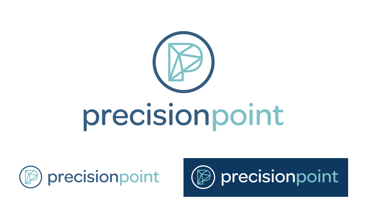 Precision Point — Derek Adams