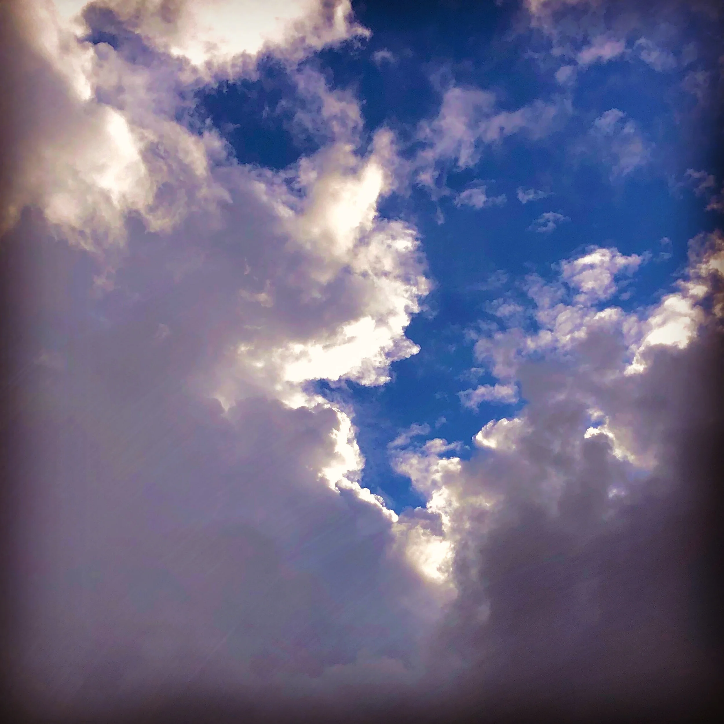 "Leda's Dream" by Meryl Natchez — MORIA