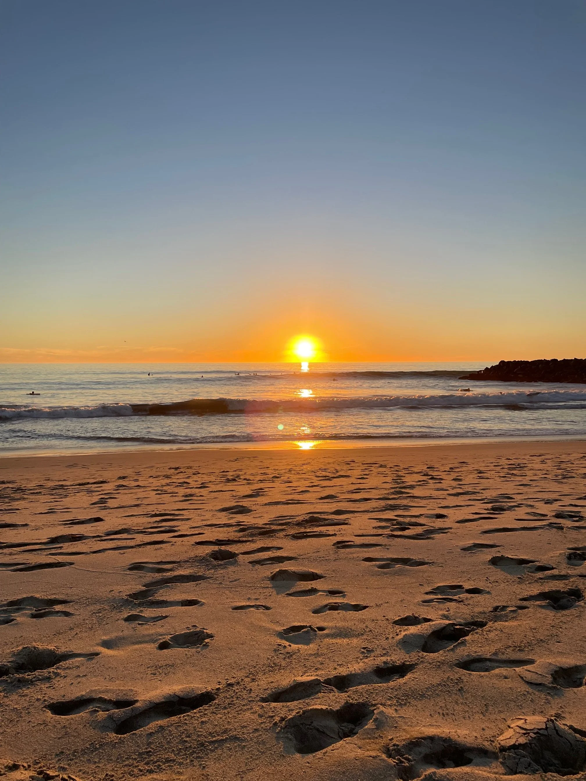 "Tracing Dinosaur Tracks" by William Doreski — MORIA