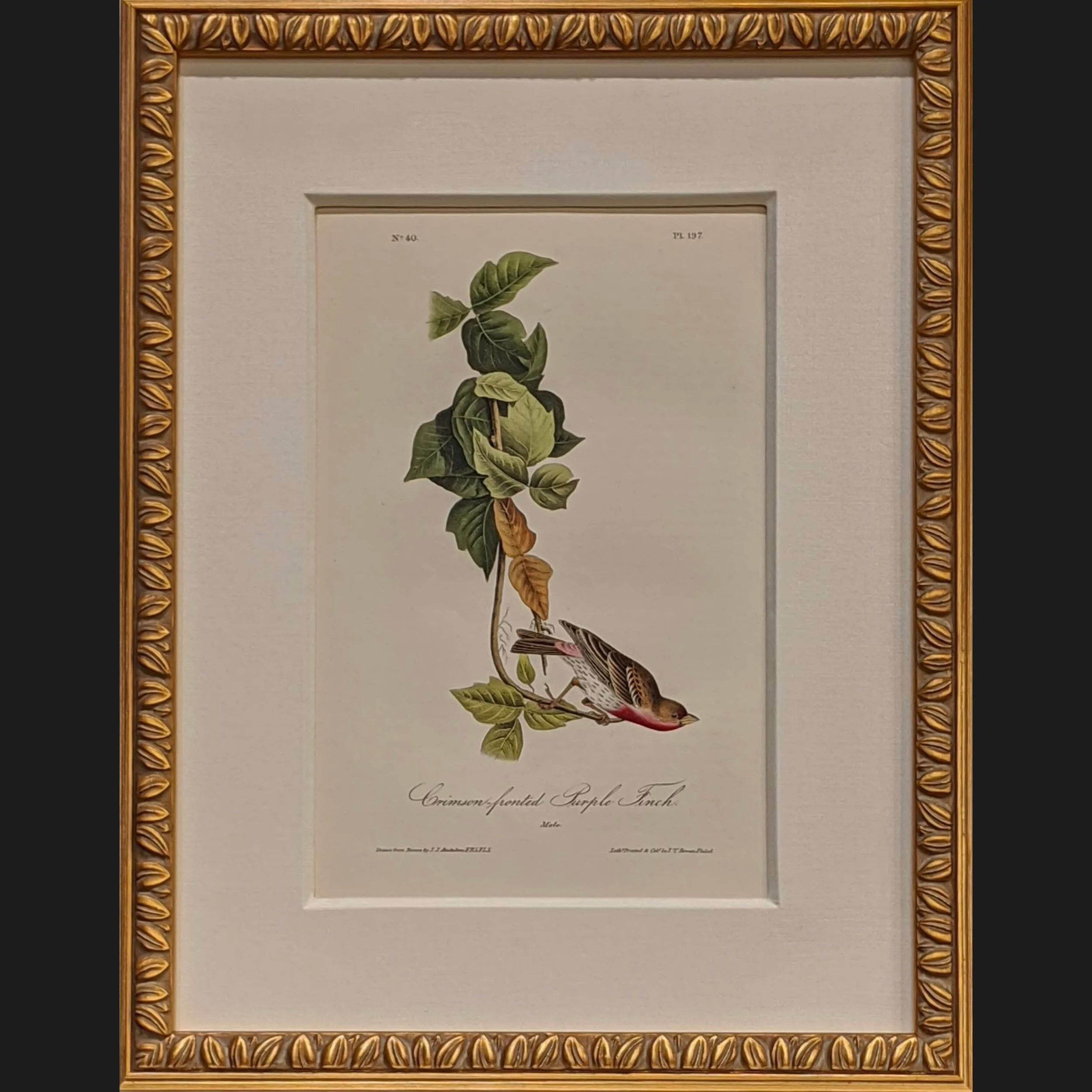 Fabric Wrapped Mats & Liners — The Rumjahn Gallery And Framery