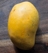 mangos — Plant it Hawaii