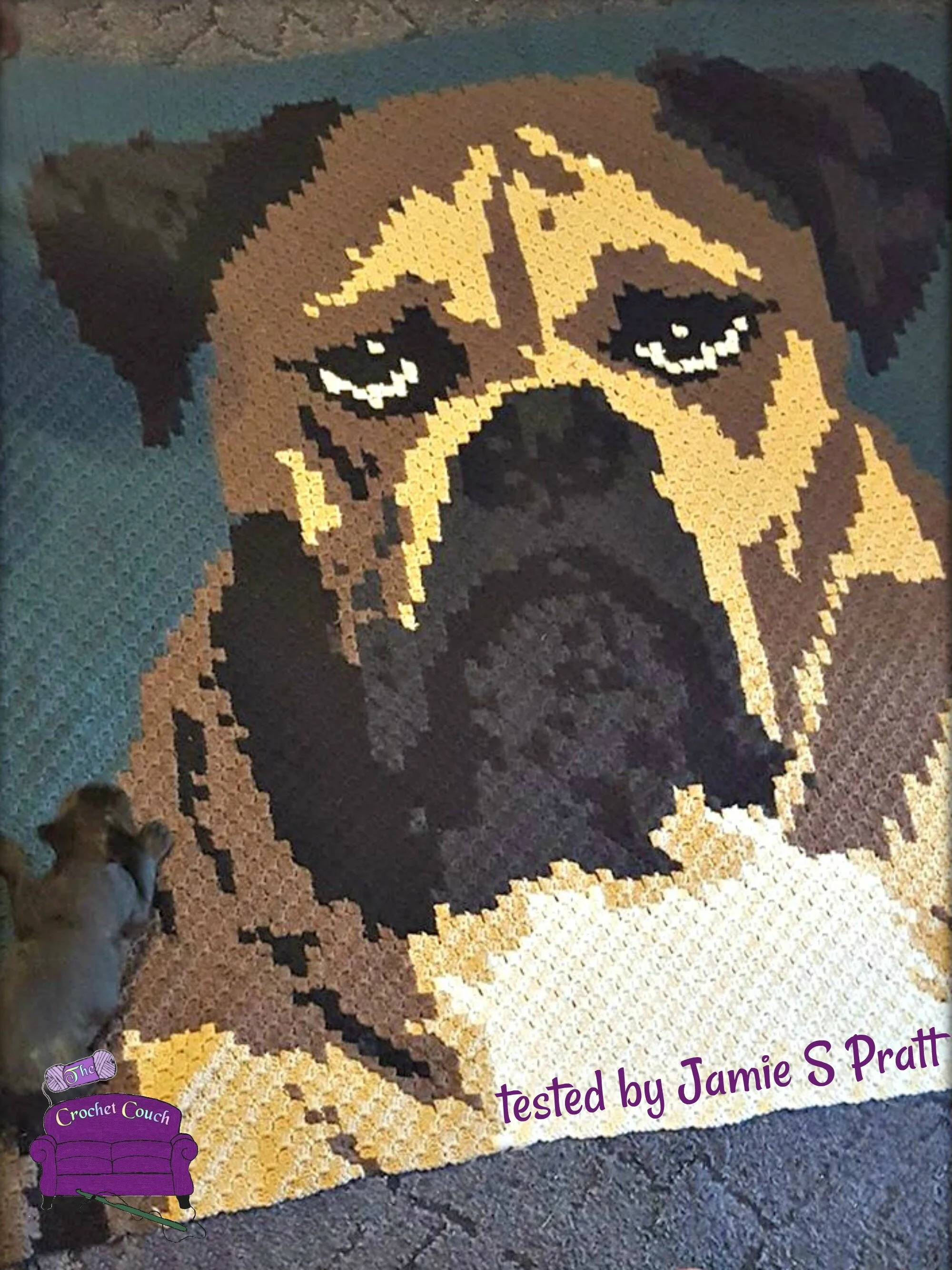 The Crochet Couch - C2C Dogs and Cats